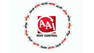 Preventing Ants This Winter | AAI Pest Control Stockton